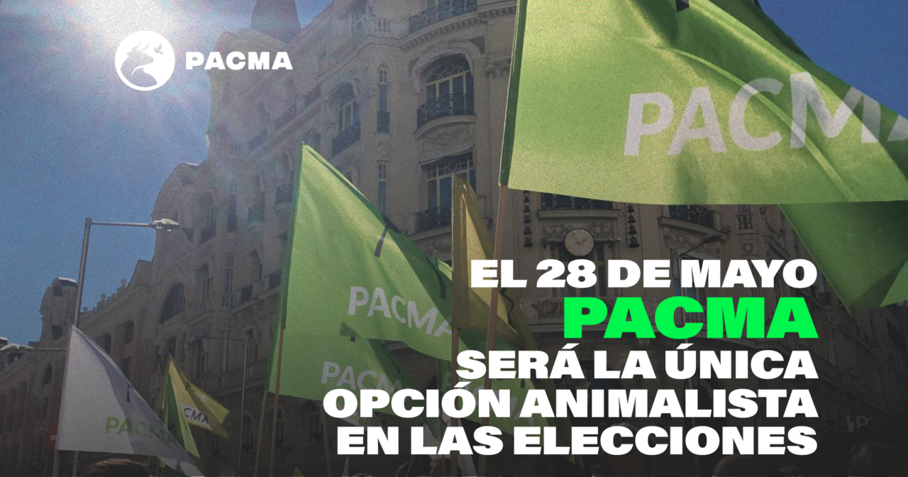 PACMA, el partido que también se preocupa por las personas - PACMA